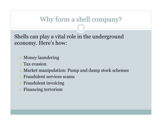 Shell Companies and Fraud: An Investigative Primer by Kelly Carr | PDF
