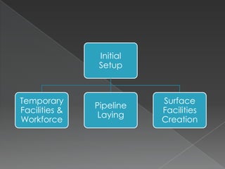 Shell day case study | PPTX
