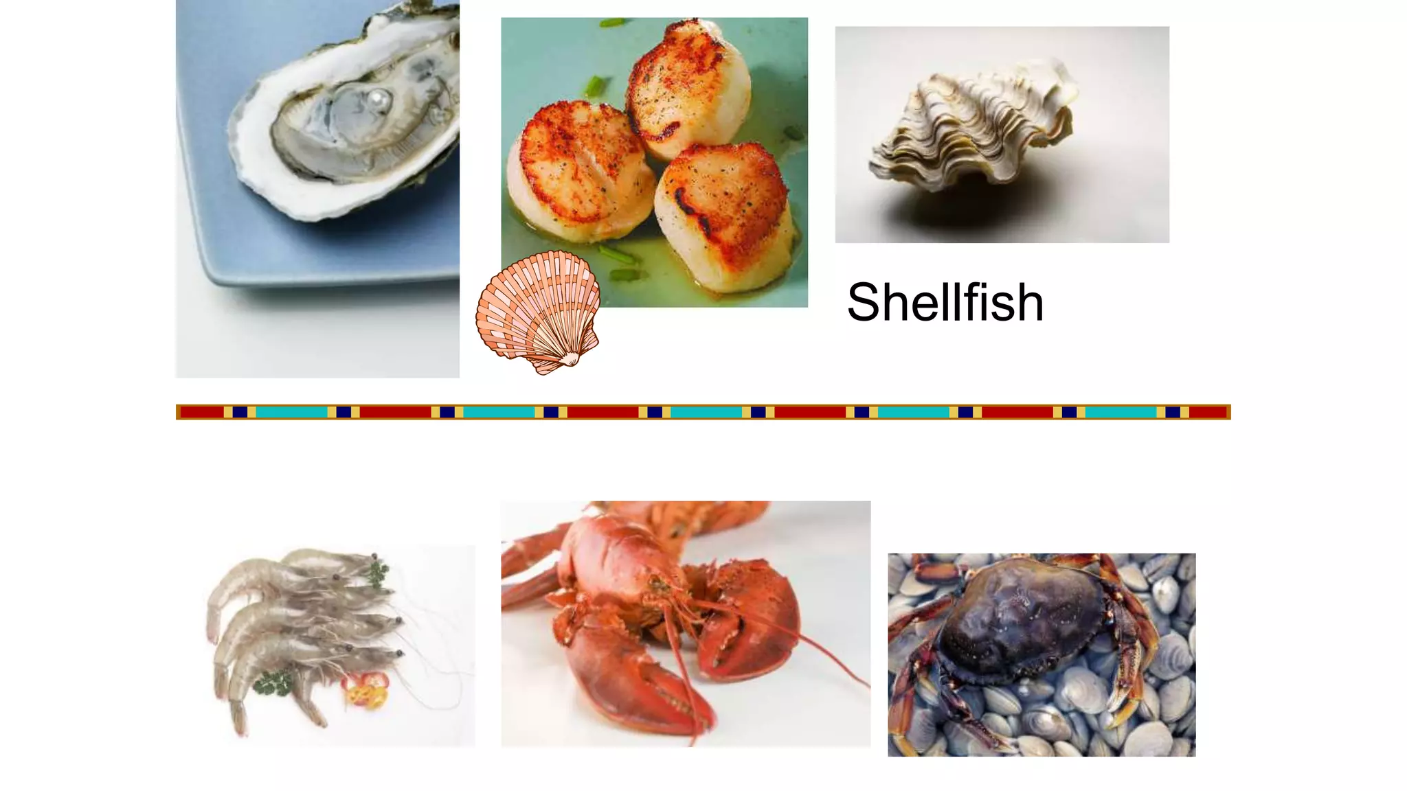 Shellfish | PPTX