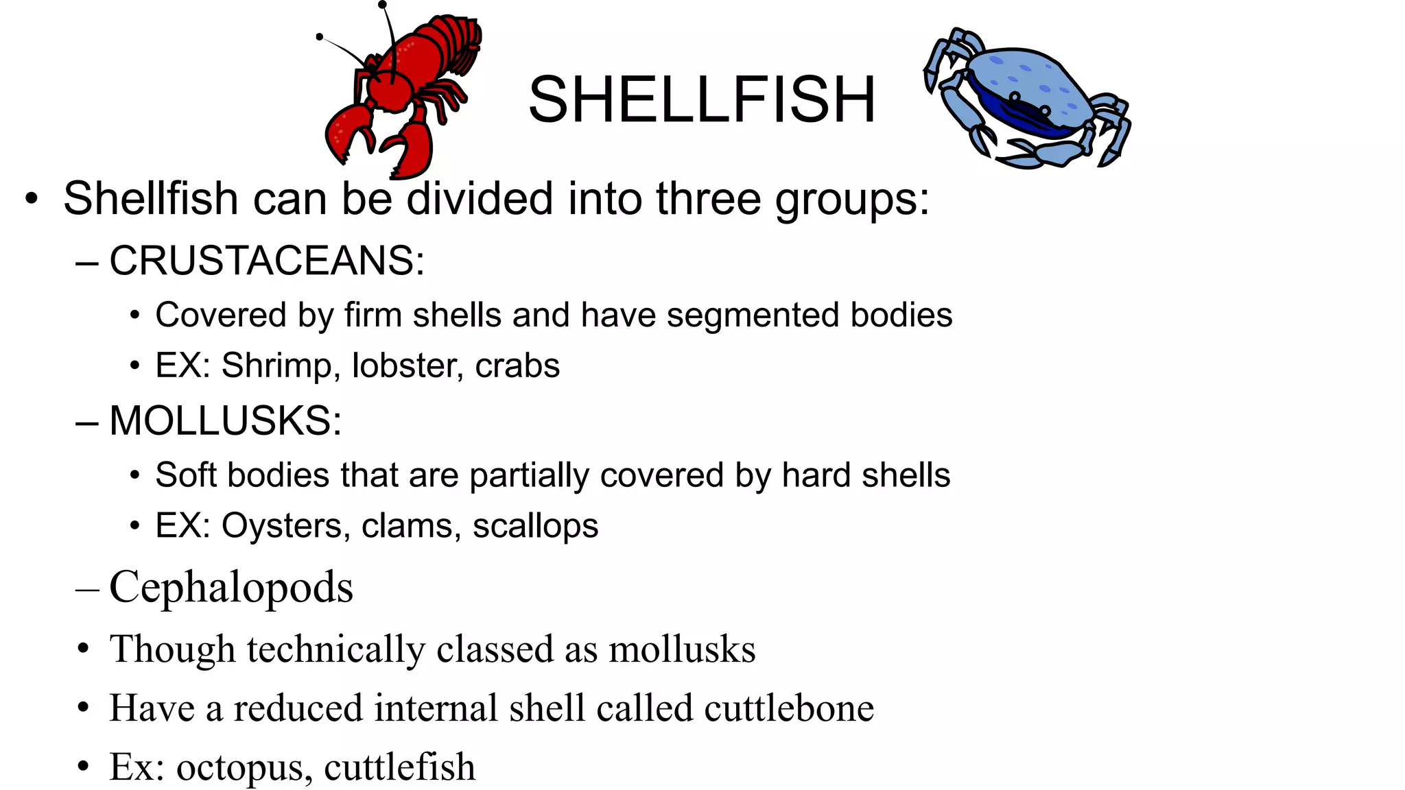 Shellfish | PPTX