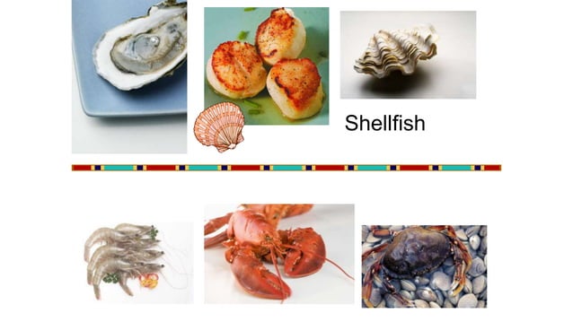 Shellfish | PPTX