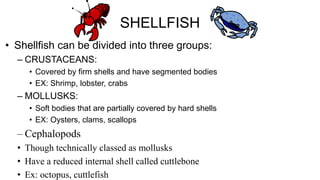 Shellfish | PPTX