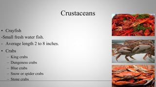 Shellfish | PPTX