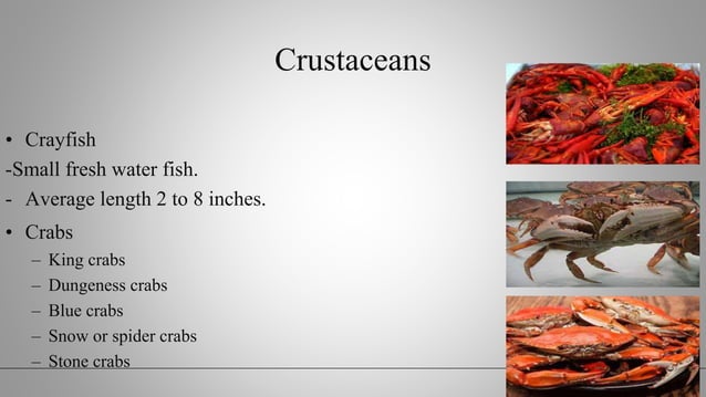 Shellfish | PPTX