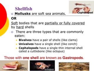 Shell fishery edited , prepared and shared by abdul qahar | PPTX | Fish ...