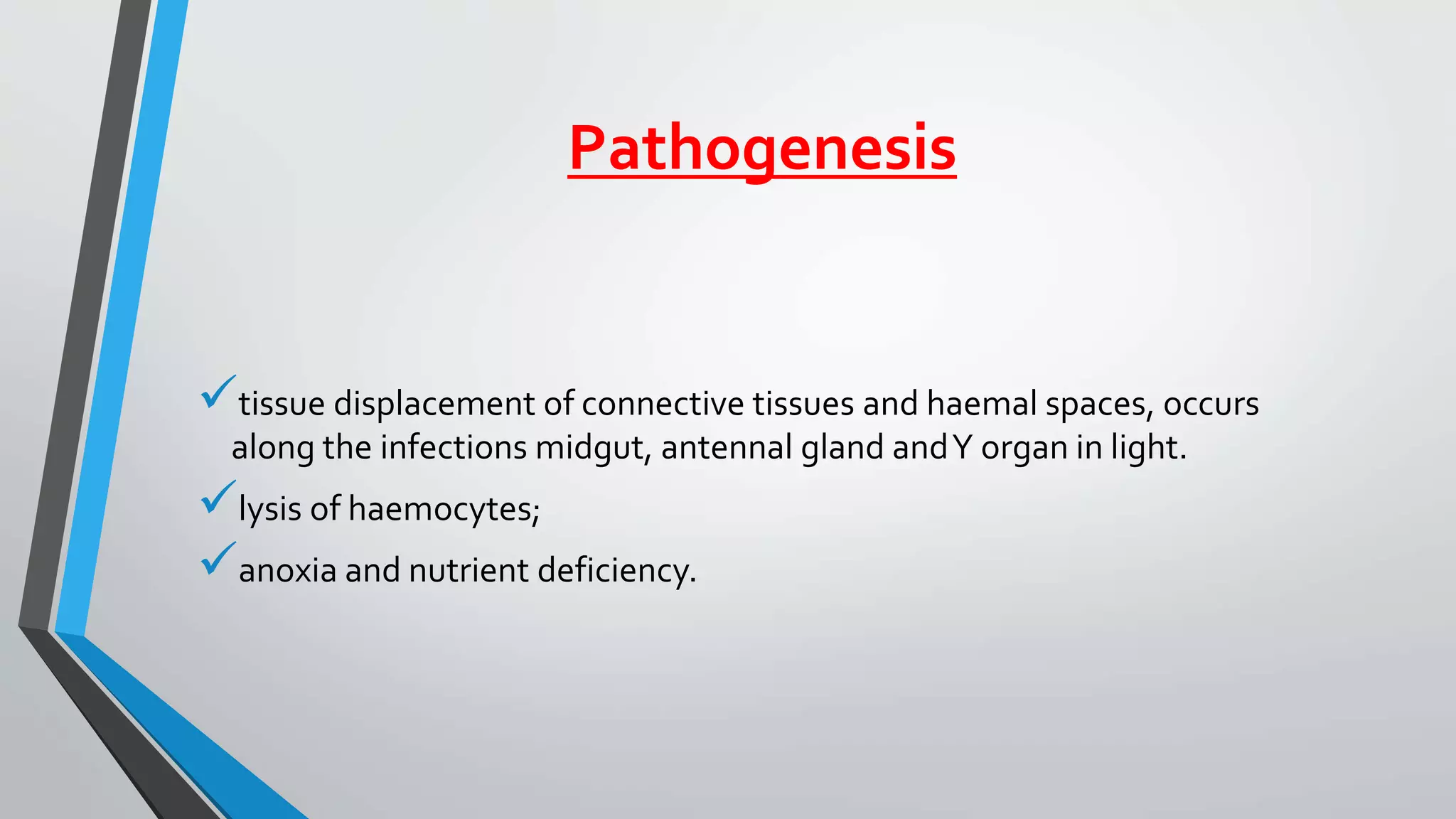 Shell fish parasitic disease | PPTX