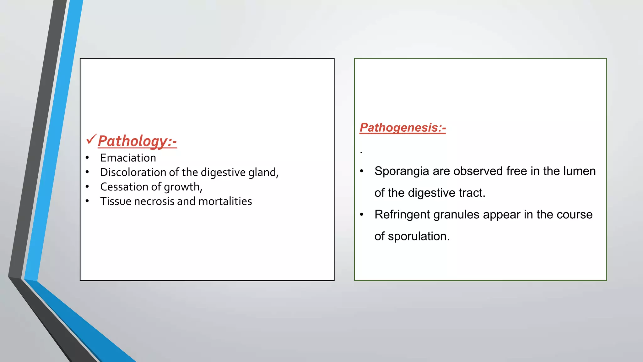 Shell fish parasitic disease | PPTX