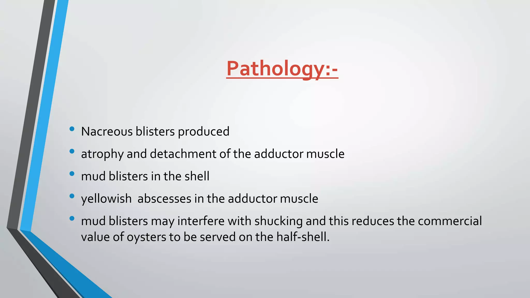 Shell fish parasitic disease | PPTX