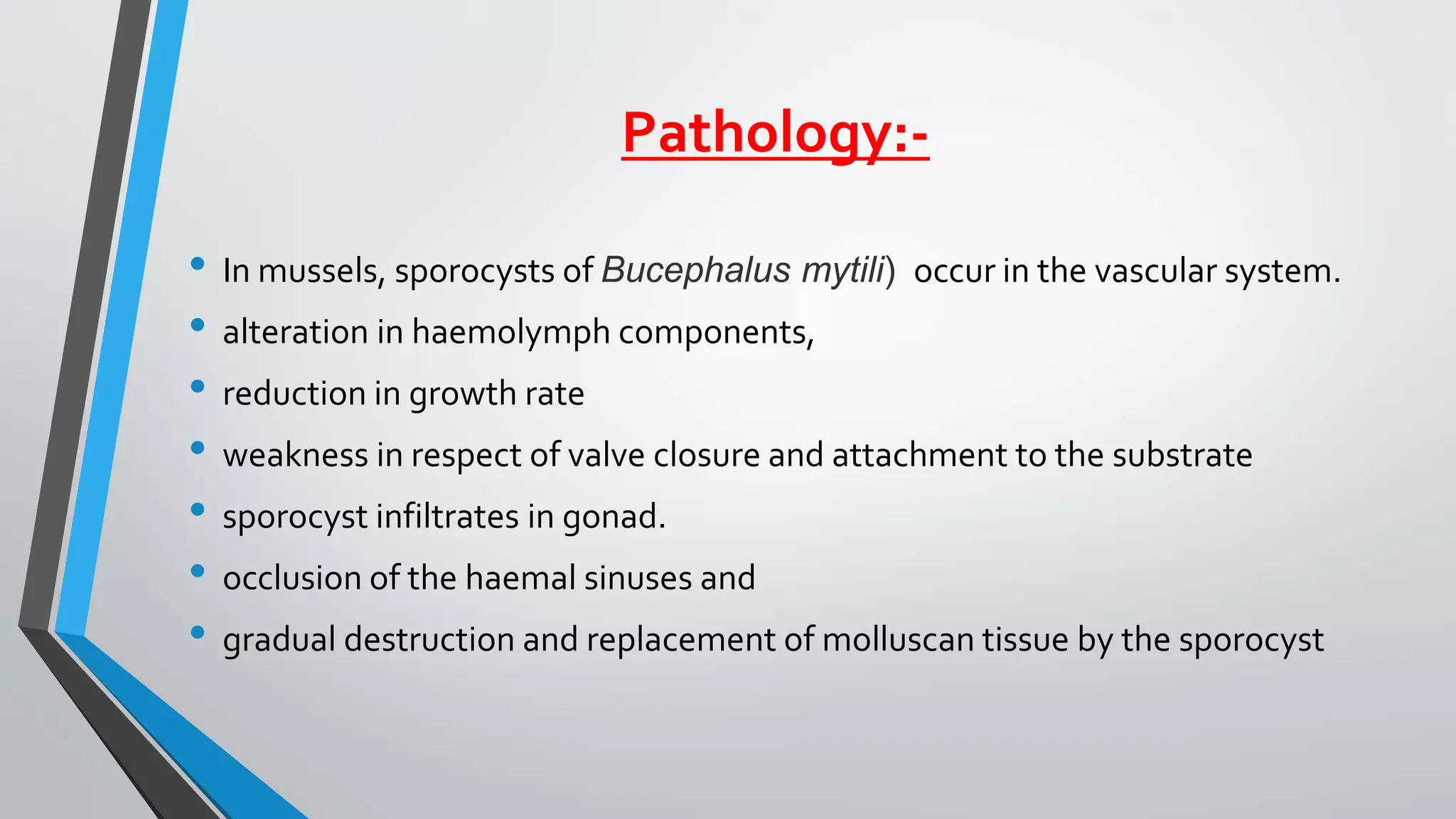 Shell fish parasitic disease | PPTX