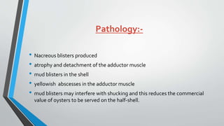 Shell fish parasitic disease | PPTX