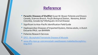 Shell fish parasitic disease | PPTX