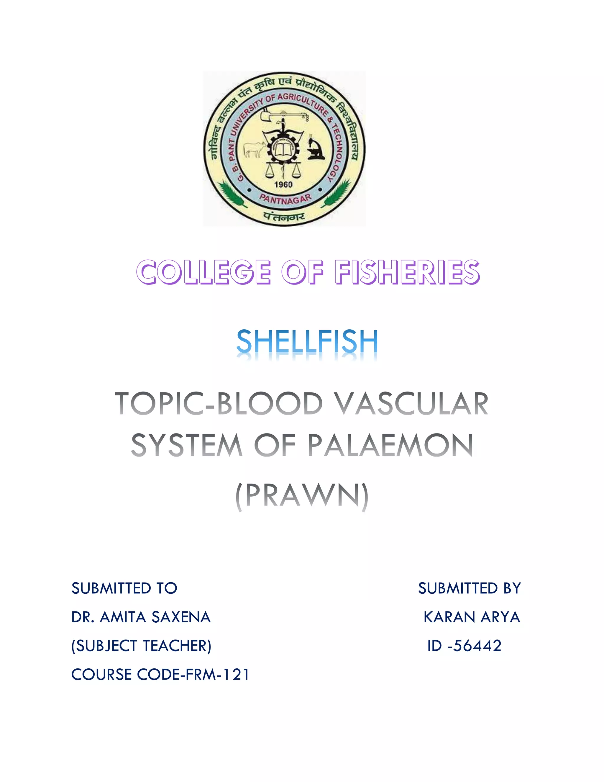 Shellfish ppt work..blood vascular system of prawn paleomon | PDF