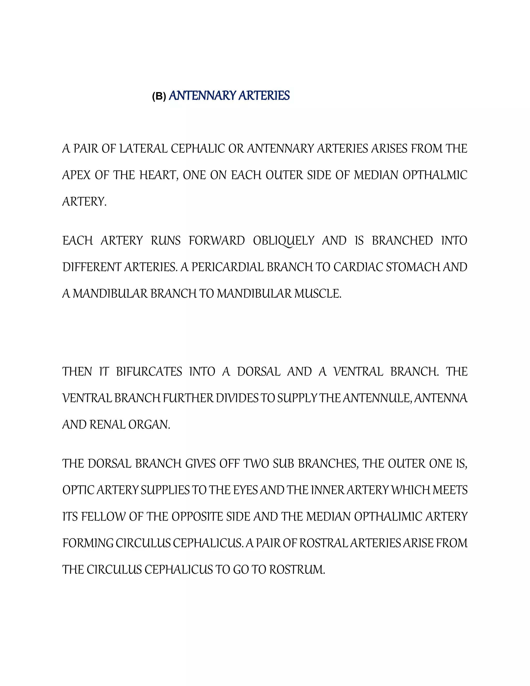 Shellfish ppt work..blood vascular system of prawn paleomon | PDF