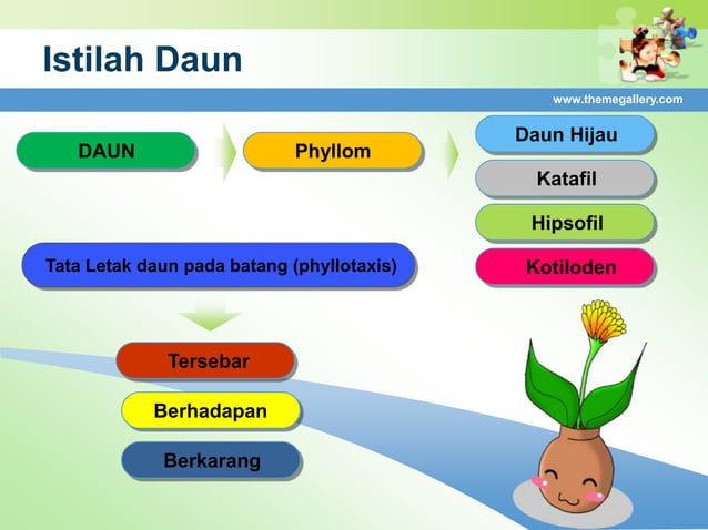ragam morfologi daun | PPTX