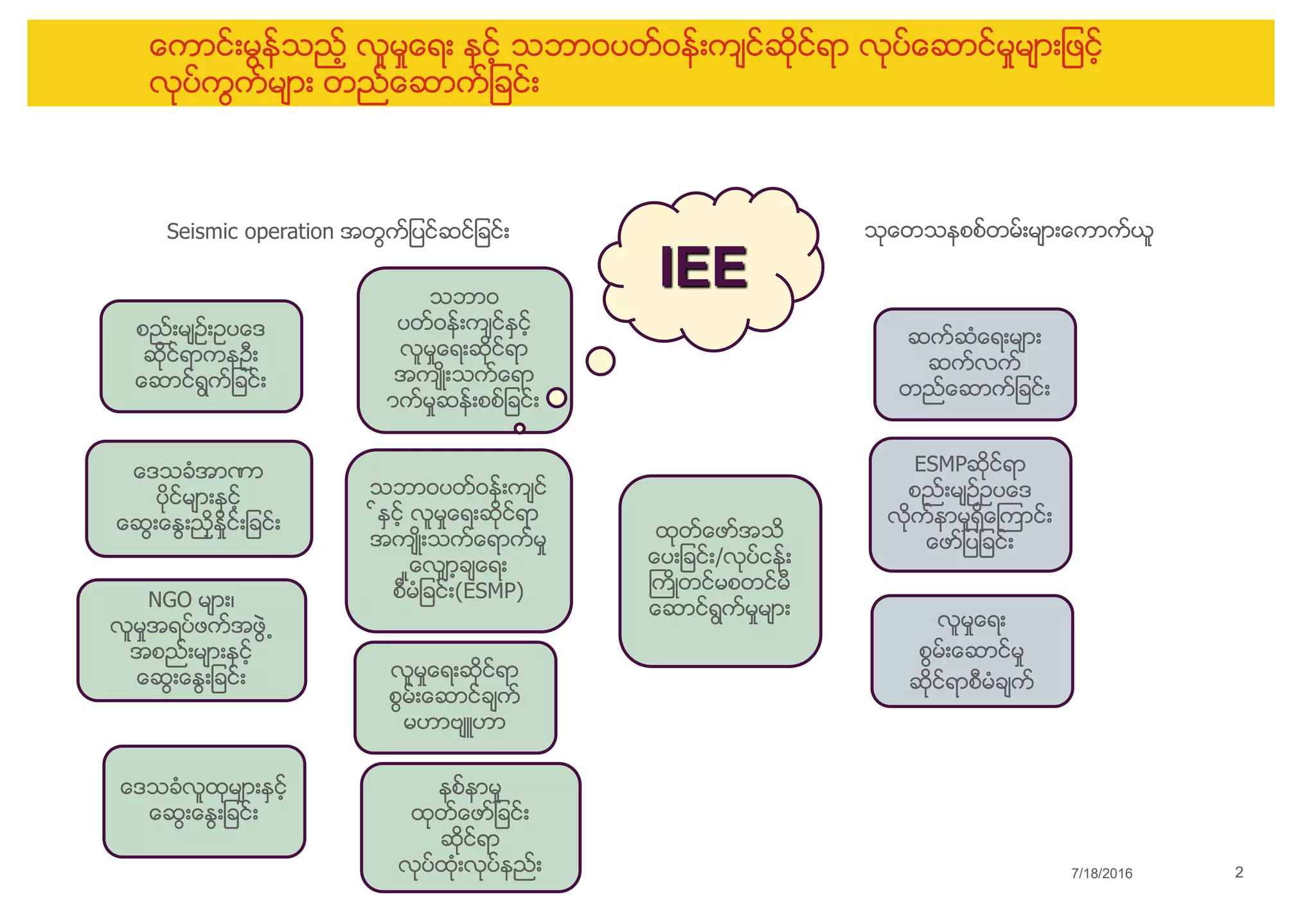 SHELL / BG OFFSHORE SEISMIC SURVEY CAMPAIGN IEE PROCESS Lessons learned ...