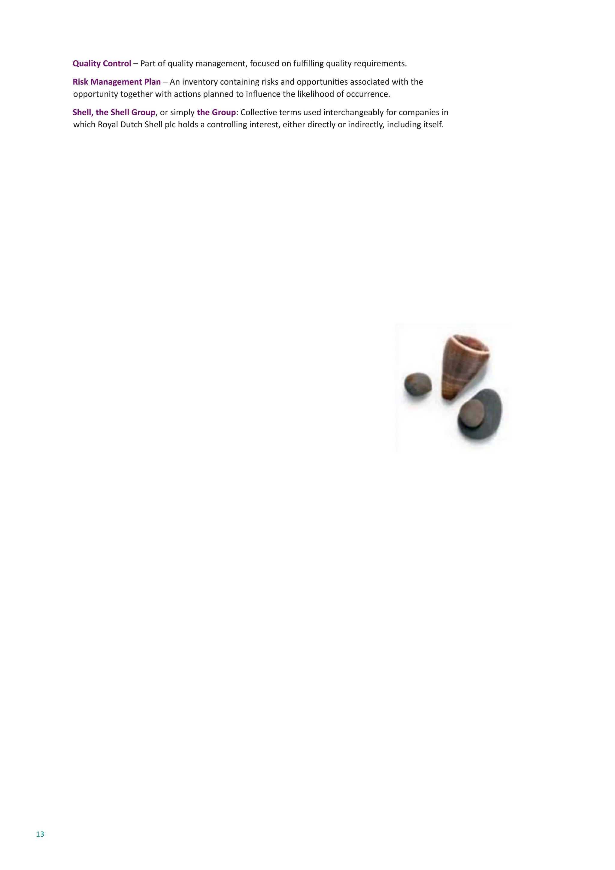 SHELL opportunity-realisation-manual.docx