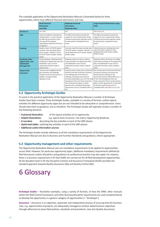 SHELL opportunity-realisation-manual.docx