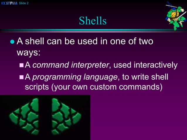 ShellProgramming and Script in operating system | PPT