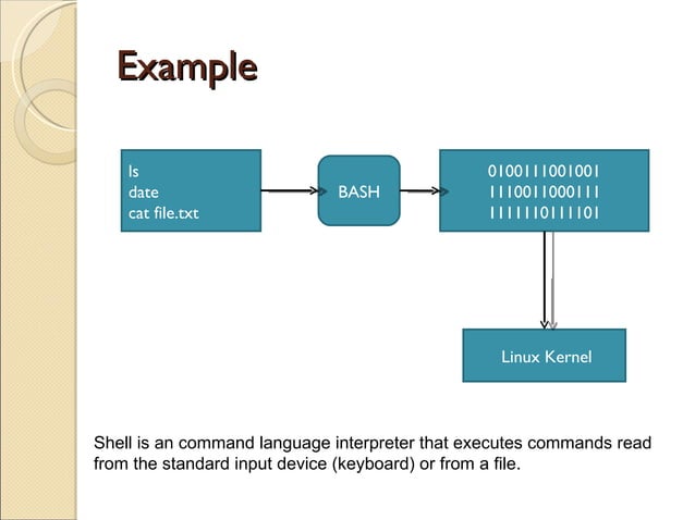 Shell programming | PPT | Operating Systems | Computer Software and ...