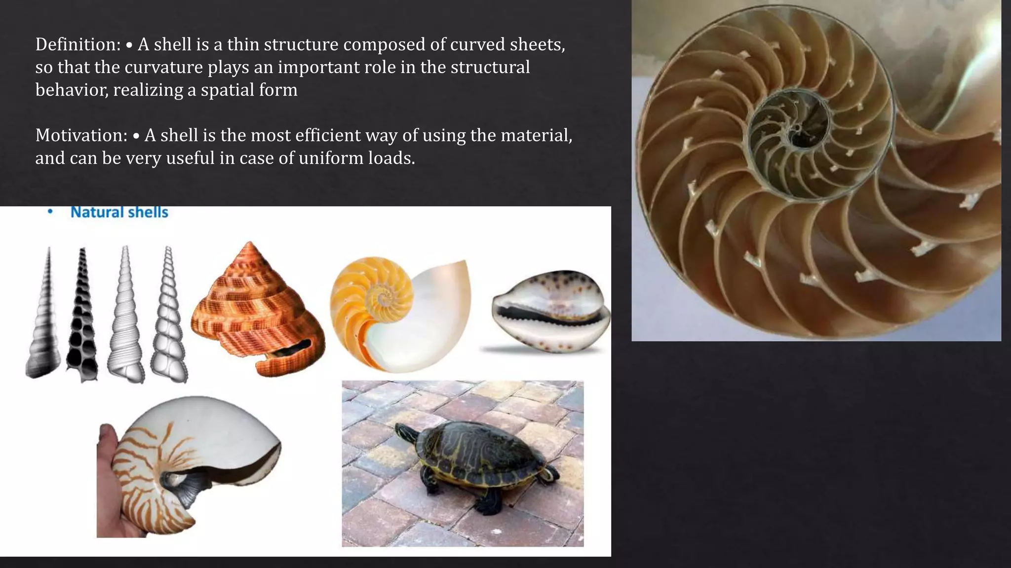 SHELL STRUCTURES | PPTX