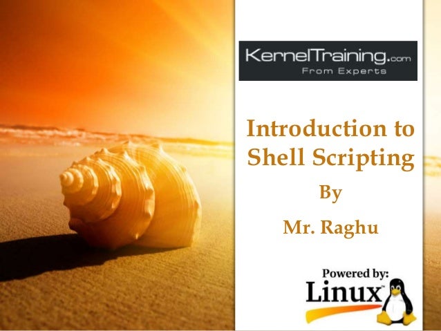 An Introduction to Scripting Language