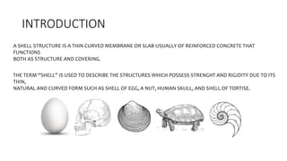 Natural Shell Structures