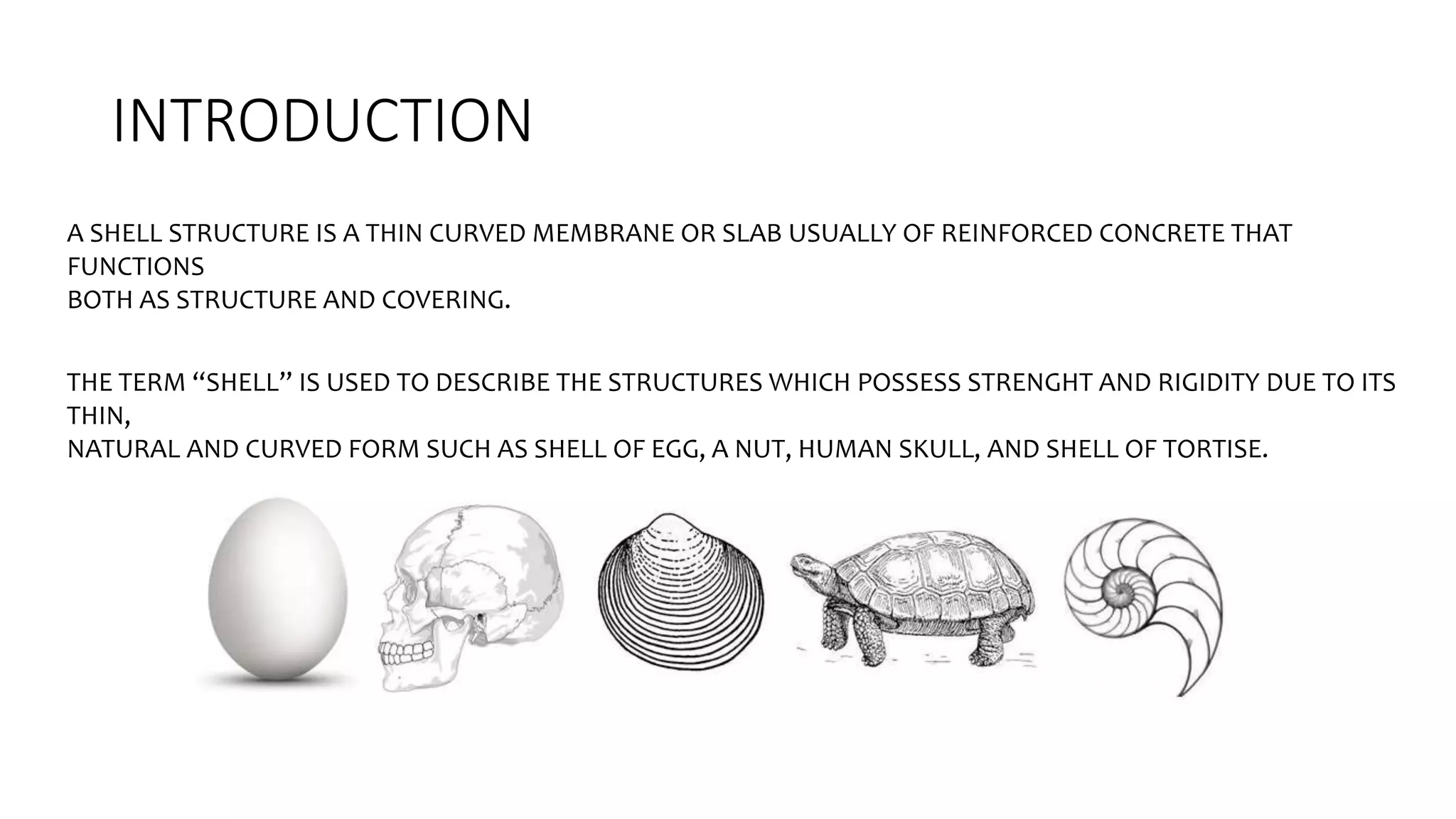 Shell structure.pdf