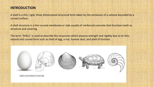 shell structure 1.pptx | Geography | Science
