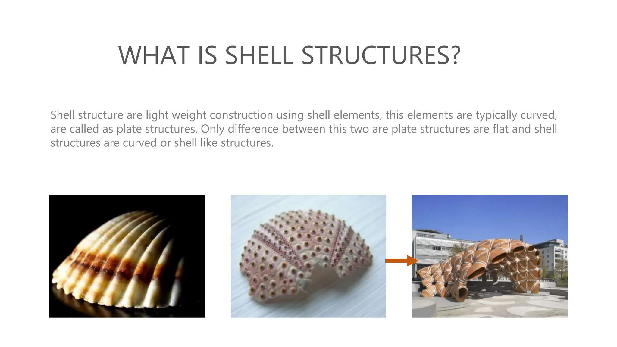 Shell structure Conctruction.pptx | Free Download