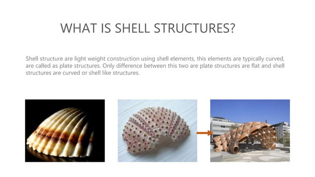Shell structure Conctruction.pptx