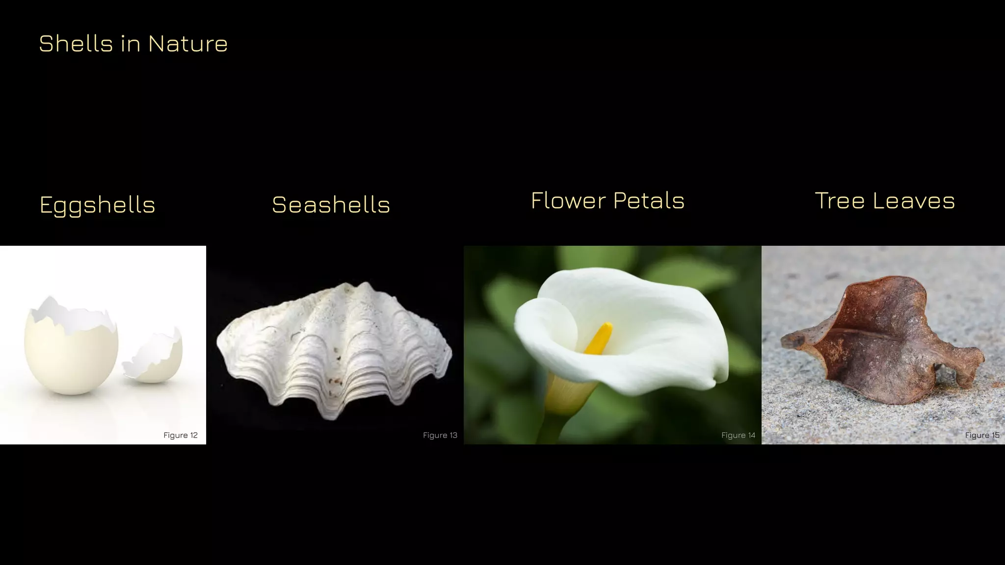 Shell Structures | PDF