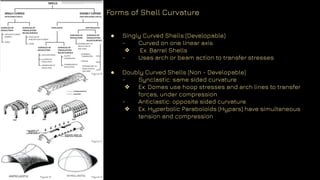 Shell Structures | PDF