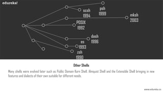 Bash vs C Shell vs Korn Shell | Edureka | PDF