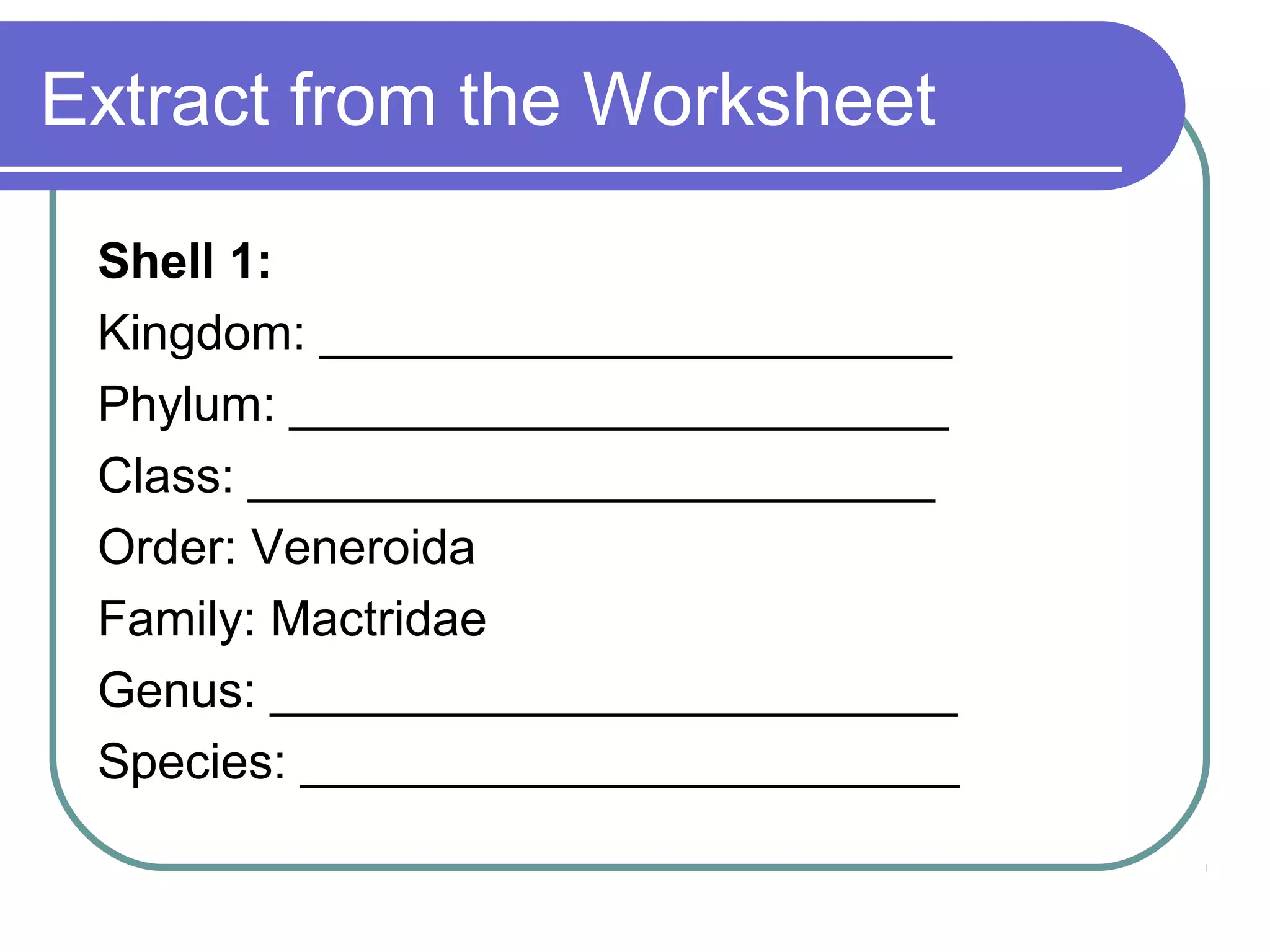 Shell workshop presentation | PPT
