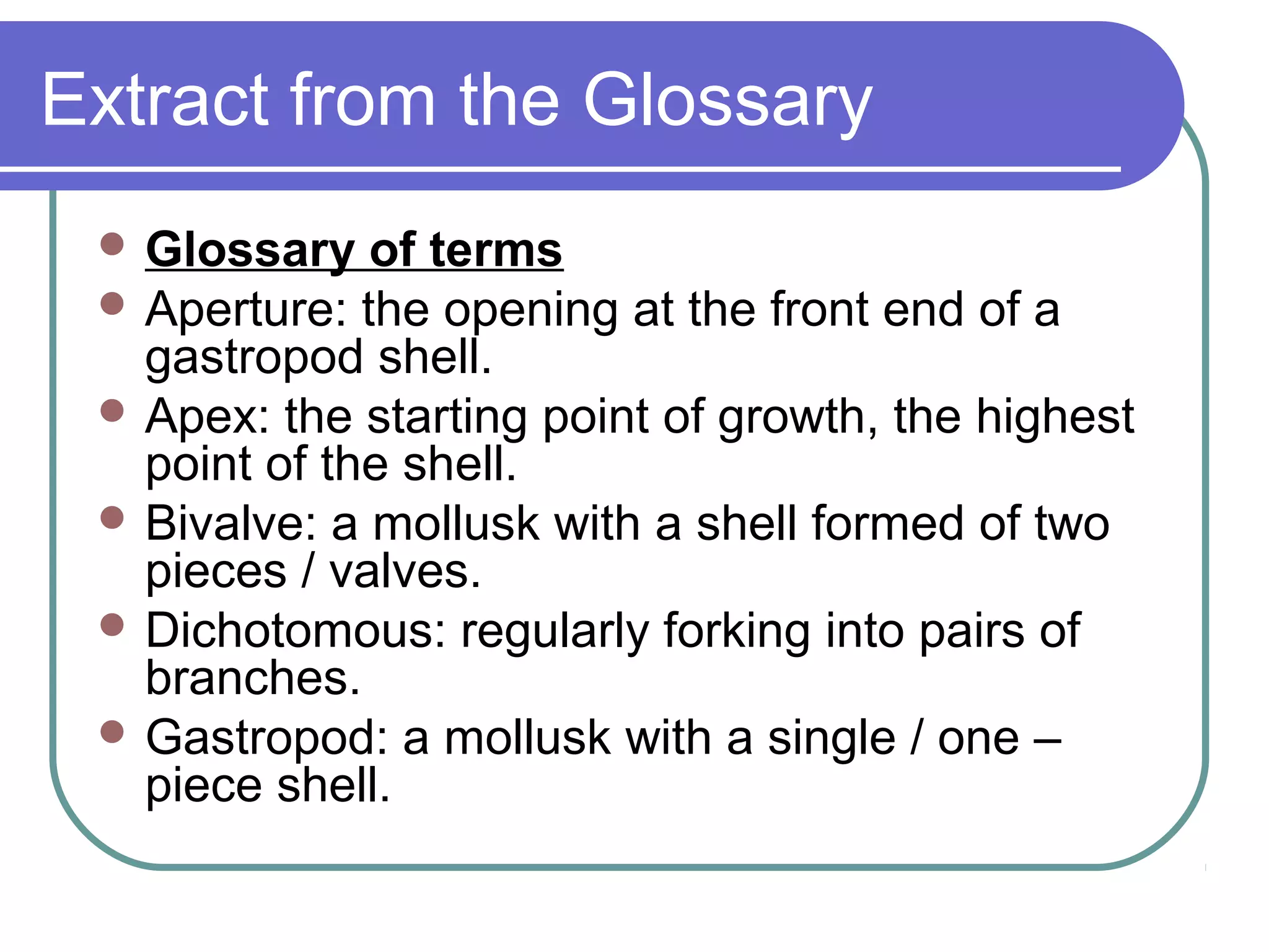 Shell workshop presentation | PPT