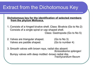 Shell workshop presentation | PPT