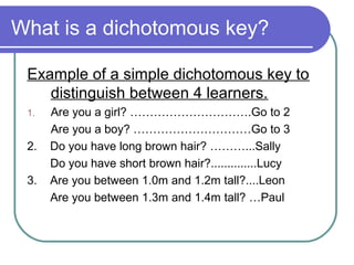Shell workshop presentation | PPT