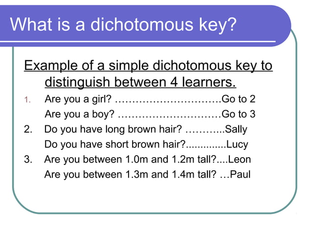 Shell workshop presentation | PPT