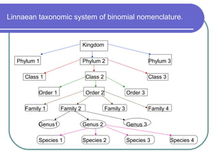 Shell workshop presentation | PPT