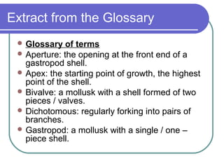 Shell workshop presentation | PPT