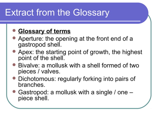Shell workshop presentation | PPT