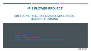 Shelly Mehndiratta_IrisFlowerClassification.pptx