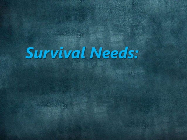 Shelter | Ppt