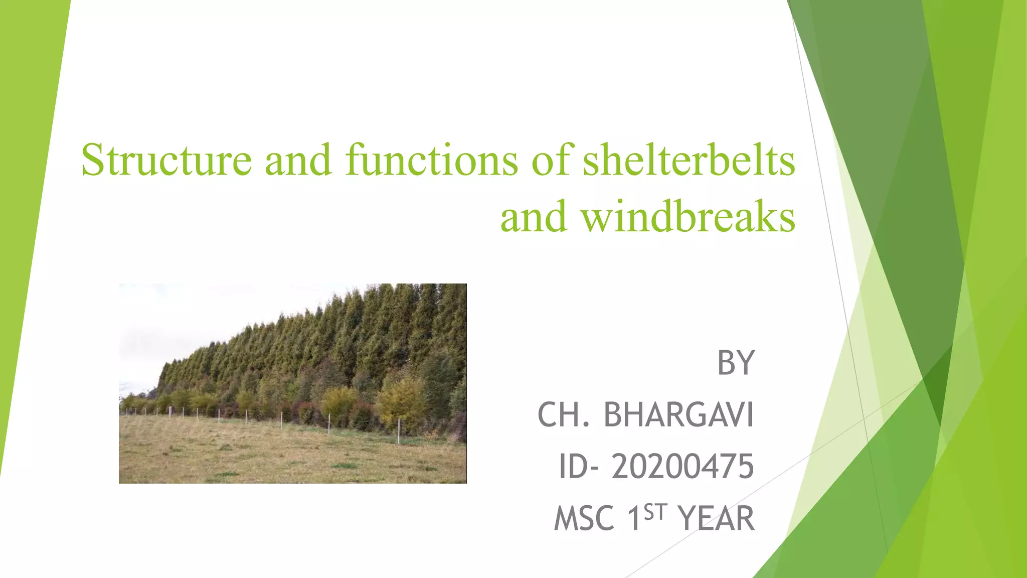 Shelterbelts and windbreaks | PPTX