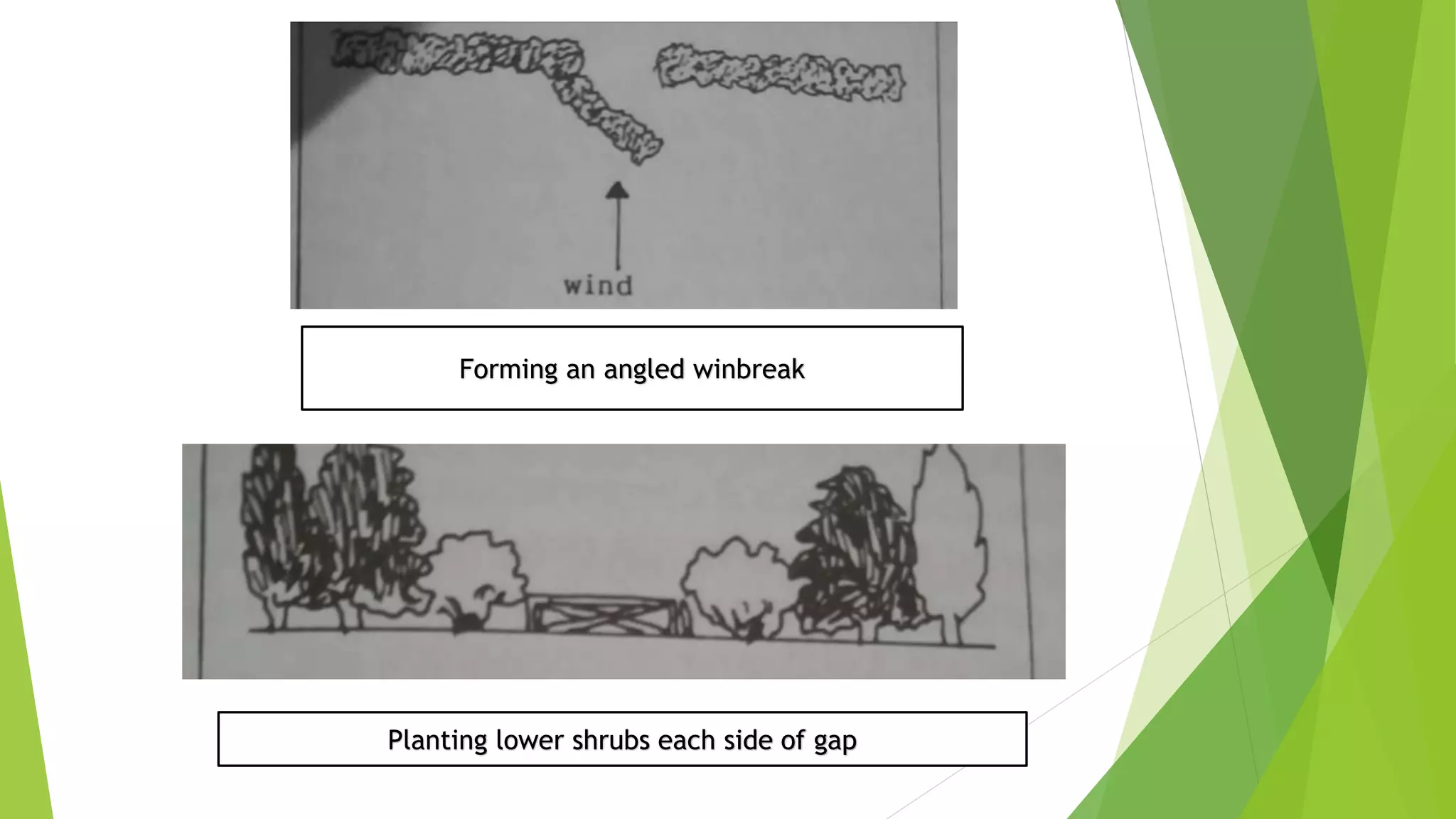 Shelterbelts and windbreaks | PPTX