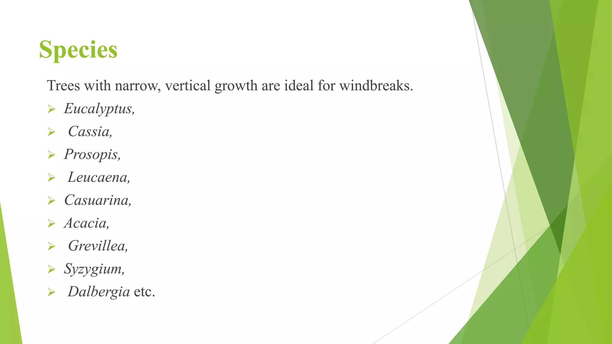 Shelterbelts and windbreaks | PPTX