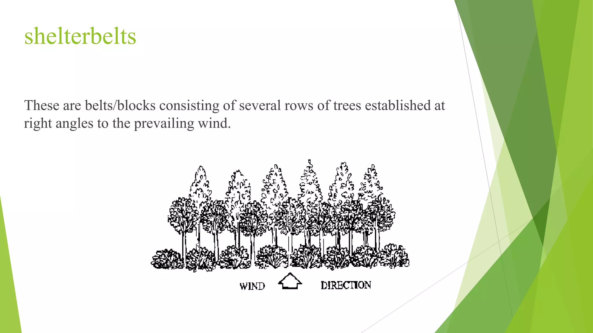 Shelterbelts and windbreaks | PPTX