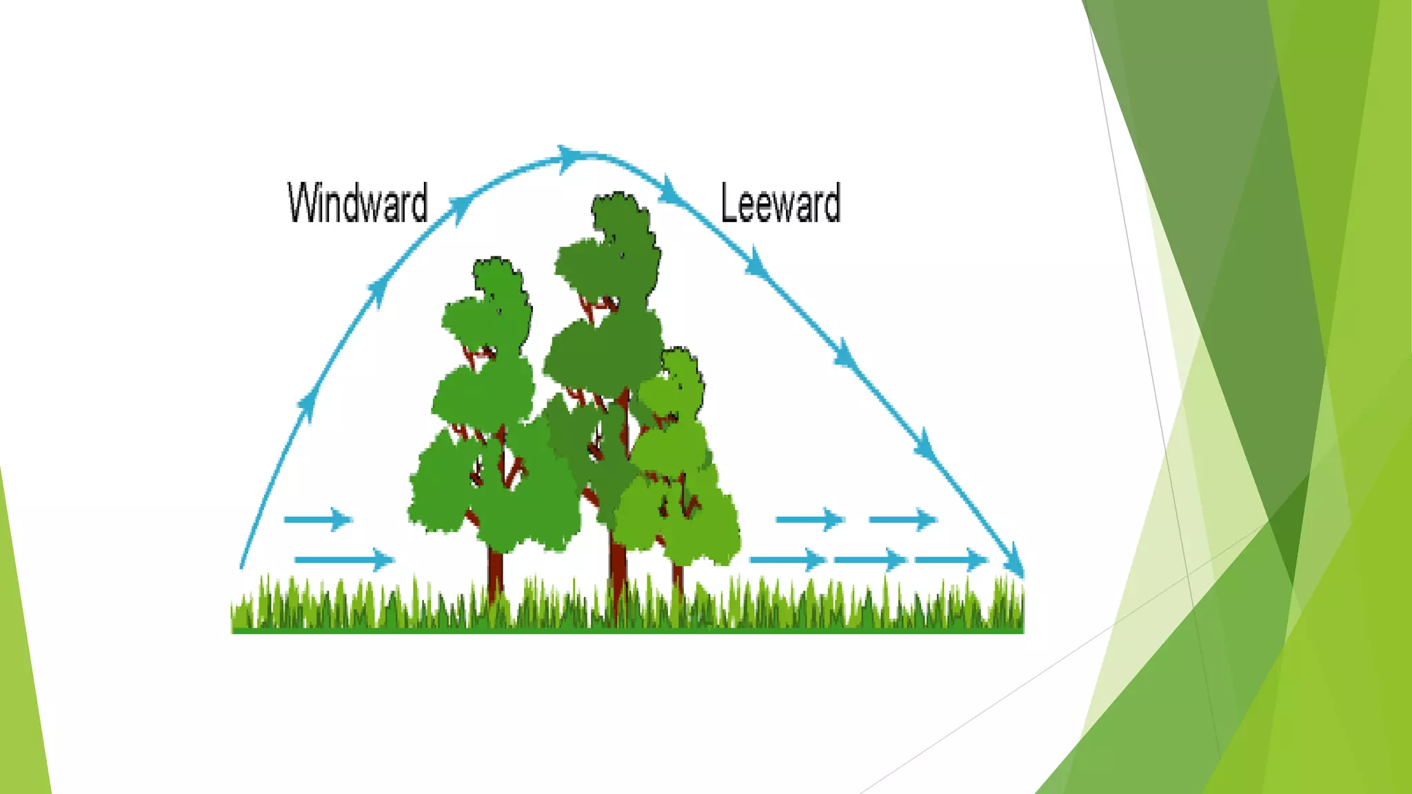 Shelterbelts and windbreaks | PPTX
