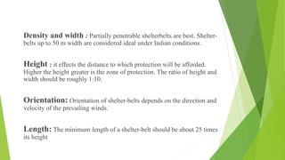 Shelterbelts and windbreaks | PPTX