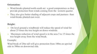 Shelterbelts and windbreaks | PPTX